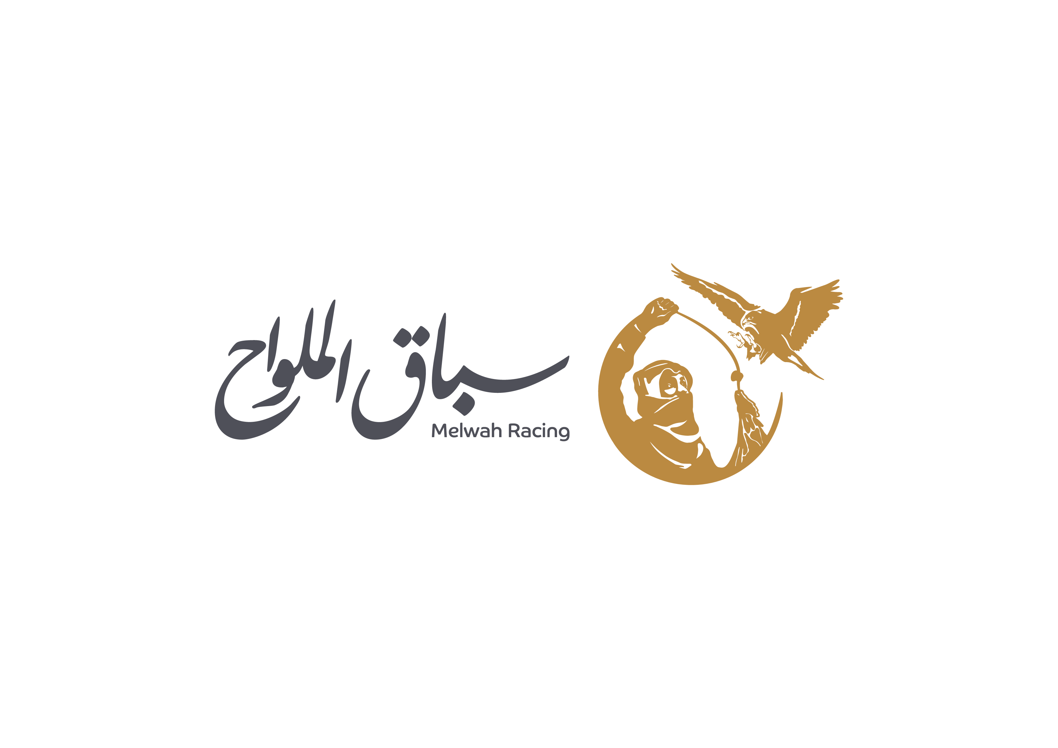 Home - Saudi Falcons Club