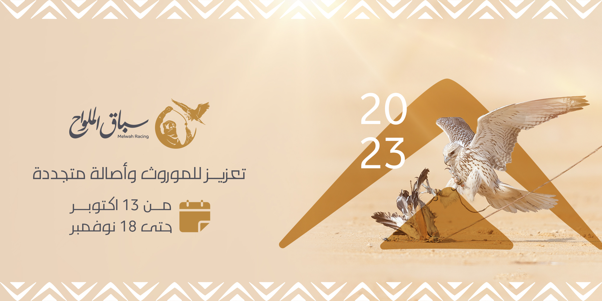 Home - Saudi Falcons Club